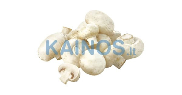 BALTIC CHAMPIGNONS GRYBAI PIGIAU [1]: kaina nuo 1.79 € | Kainos.lt