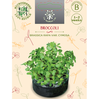 brokoliai skelbimai - Skelbiu.lt