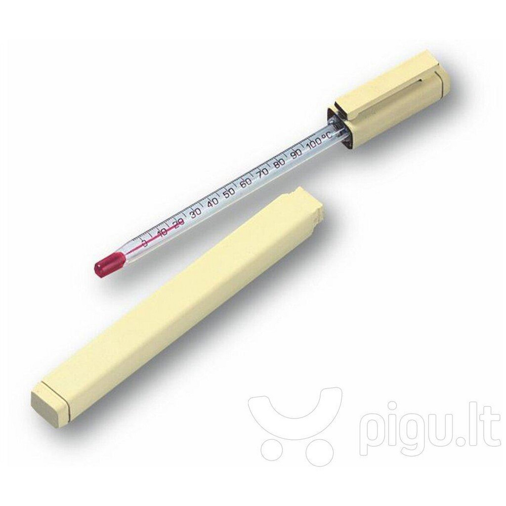 termometras vandens kaina nuo 1.84 € (23 pard.)