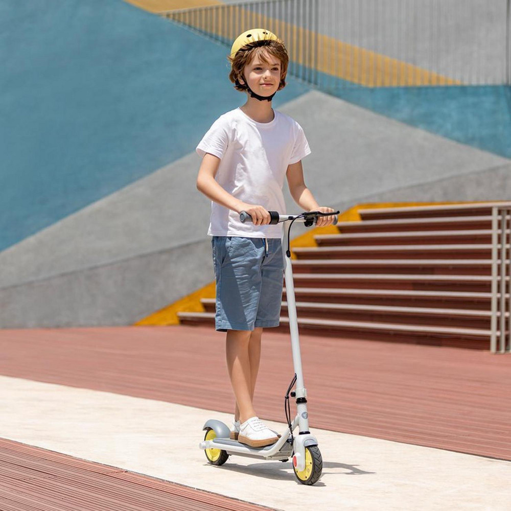 Segway Ninebot eKickscooter ZING C10 Grey (Pilkas) | Kainos.lt