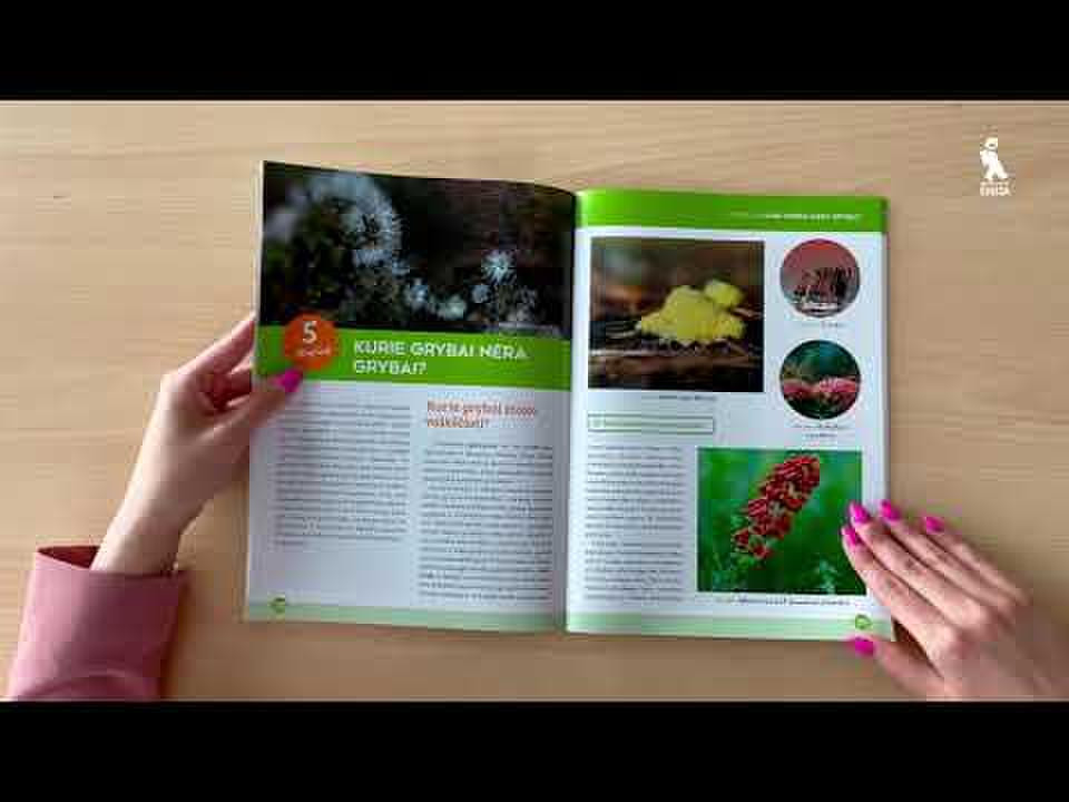 faktai ir uzduotys kaina nuo 4.79 € (6 pard.)