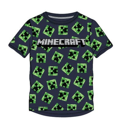 minecraft galva kaina nuo 10.00 € (1 pard.)
