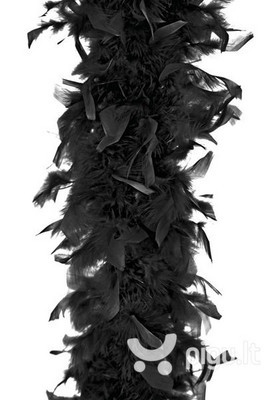 boa plunksnu kaina nuo 9.55 € (1 pard.)