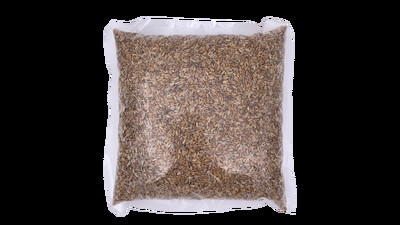 anyzius kaina nuo 1.40 € (58 pard.)