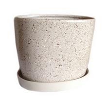 putpeles putpeliukai skelbimai - Skelbiu.lt